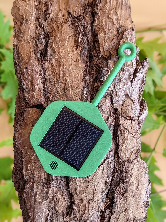 When IoT means Internet of Trees | Avnet Silica